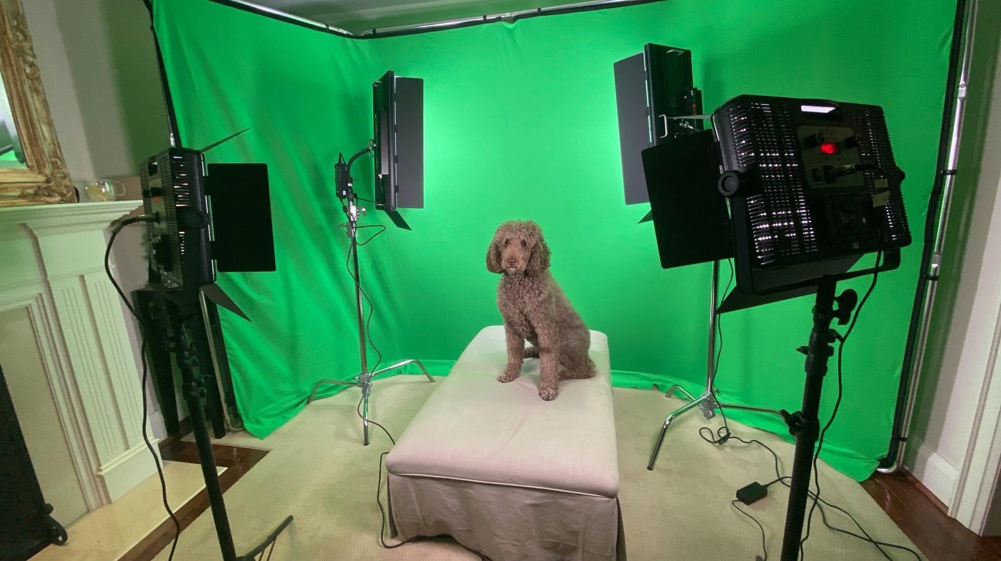 Green Screen Lighting and Tutorial - Sailfin Productions